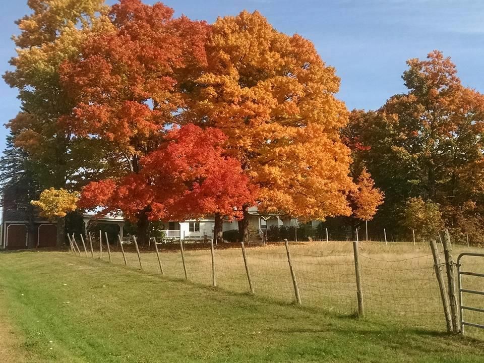 Maple Hill Farm Inn — Augusta Hotels — Maine.com