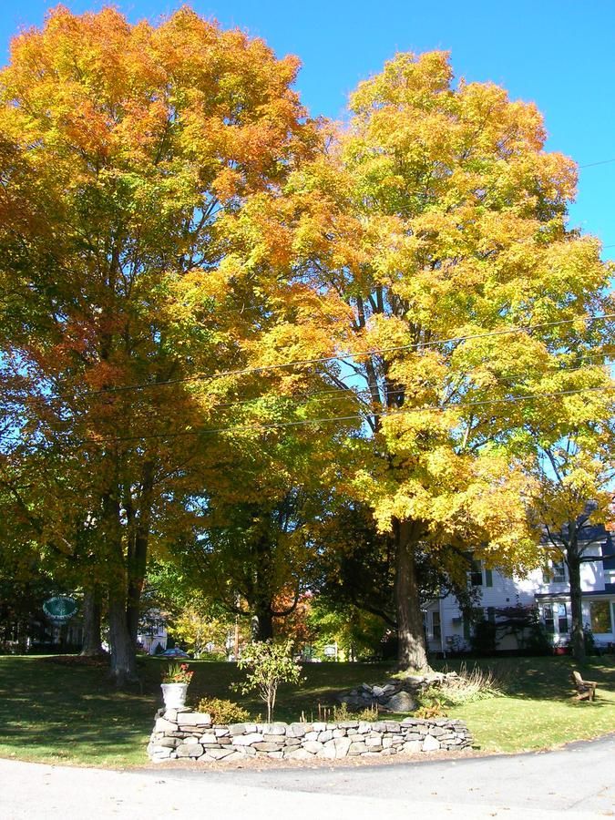 White Cedar Inn Bed and Breakfast — Freeport Hotels — Maine.com